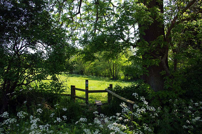Essex Way - Trailman