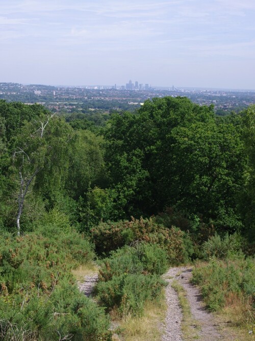 Walking the London Loop - Trailman